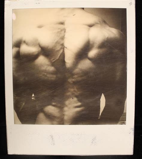 Lot Vintage Male Nude Polaroid Photographs
