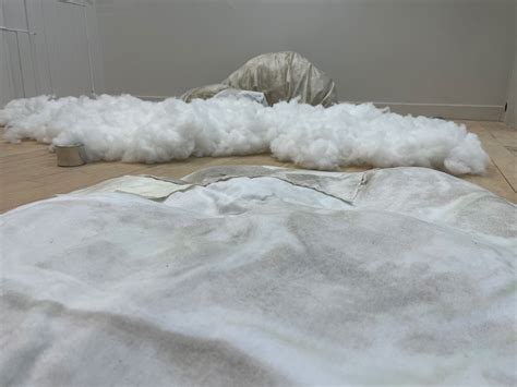 Lijia Zhu • Gsa Mfa