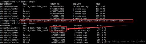 Docker实践六：创建本地镜像commit、dockerfiledocker Commit Tar Csdn博客
