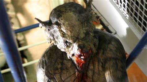 Chupacabra Terror 2005 Fantasy Box Office