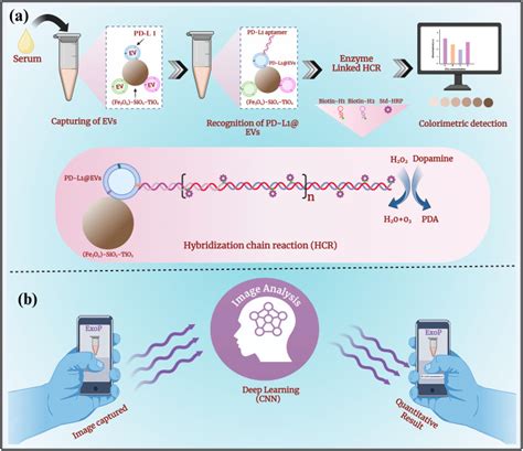 Colorimetric Aptasensor Coupled With A Deep Learning Powered Smartphone