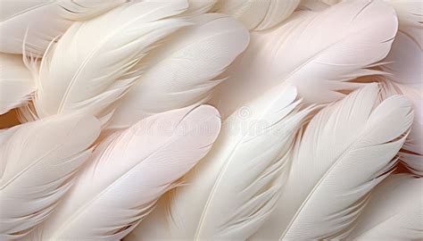 Detailed White Feathers Texture Background With Exquisite Digital Art