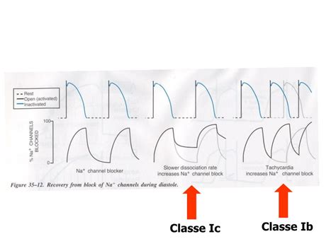 Ppt Farmaci Antiaritmici Powerpoint Presentation Free Download Id