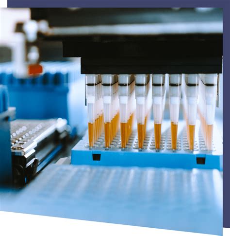 Pace Genotyping Solutions Agricultural And Research Genomics