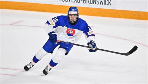 2023 Draft Profile Dalibor Dvorsky