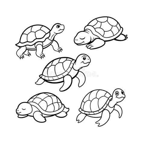 A Beautiful Turtle Vector Line Art Collection Stock Vector