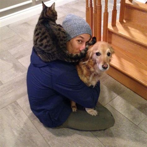 Gerald Trottier Mosaic Not Dated Collection Of The Ottawa Art