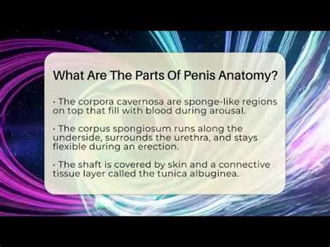 Big Head Penises A Guide To Glans Anatomy And Health Facts