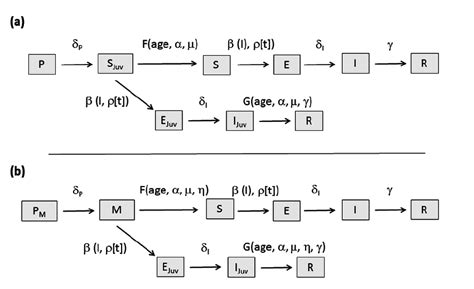 Figure A 2 Flow Diagram For An Individual Based Epidemiological Download Scientific Diagram