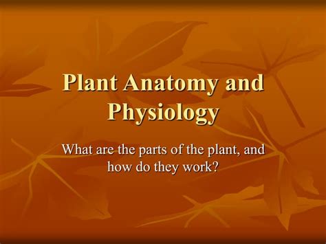 Plant Structure And Function Powerpoint Ppt Gardening Home And Garden