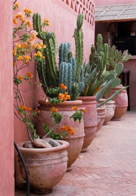 30 Desert Landscaping Ideas To Transform Your Dull Yard Into An Oasis