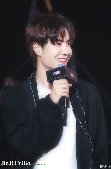 宝马嘉年华 王一博