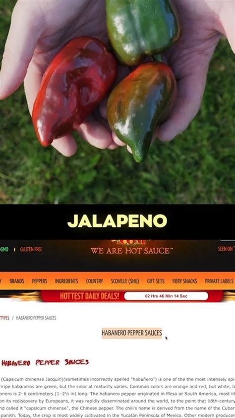 Flowrage Technology Flowragetech • Instagram Photos And Videos