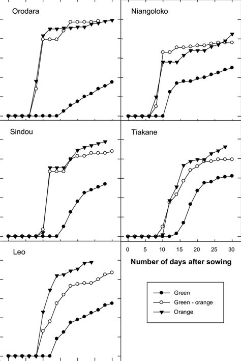 Cumulative Germination Of Opilia Amentacea Fresh Seeds Excised From
