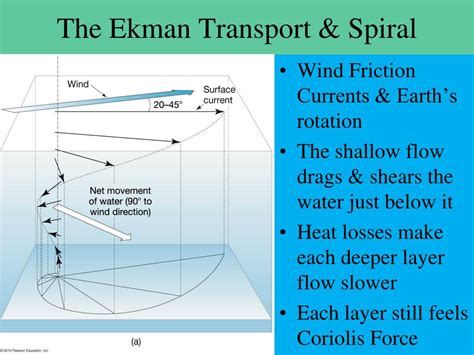 Ppt The Circulation Of The Oceans Powerpoint Presentation Free