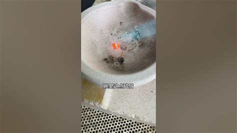 这猕猴桃 含金量”挺高啊 黄金 猕猴桃 Youtube