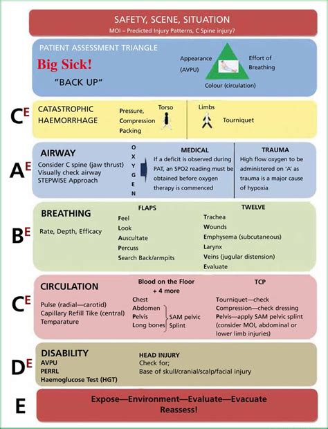 The Revision Of The Primary Survey A 2011 Review Journal Of