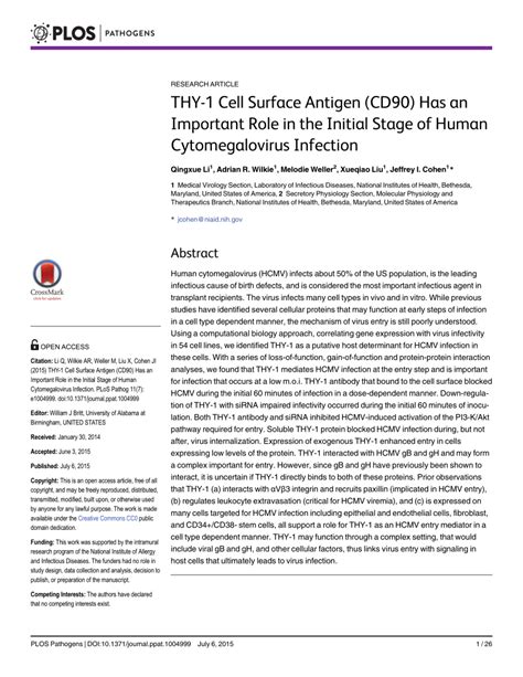 Pdf Thy 1 Cell Surface Antigen Cd90 Has An Important Role In The Initial Stage Of Human