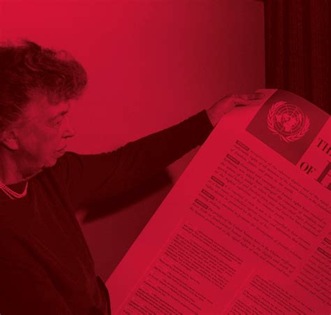 Declaración Universal De Los Derechos Humanos Tu Derecho