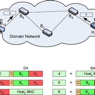 Basic Bridging Scenario Download Scientific Diagram