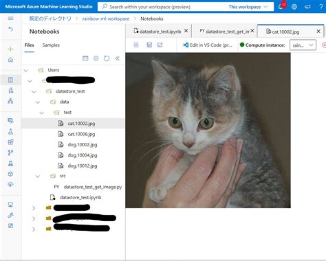 Azure Synapse Analyticsの使い方（データ統合のやり方） Rainbow Engine