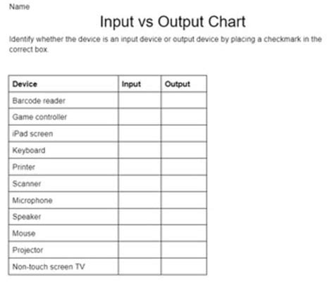 Input Vs Output Identification Activity Computer Science By Pigments