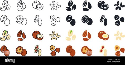 Nuts Icon Set Vector Linear Flat Color Icon Of Nuts Silhouette Isolated On White Almond