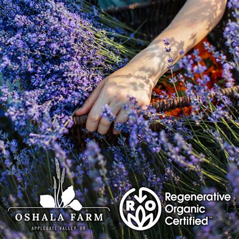 Oshala Farm Reaches Roc™ Status Mason Hutchison Posted On The Topic