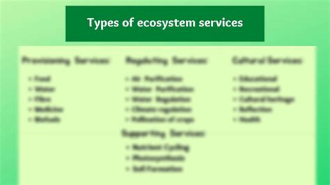 Solution Importance Of Ecosystem Services Studypool