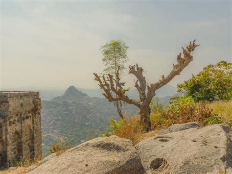 Joël Elbisser Photographe Gingee