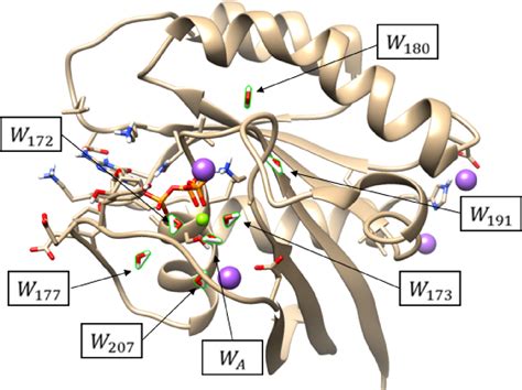 Figure 1 From Structural Transition Of Solvated H Rasgtp Revealed By