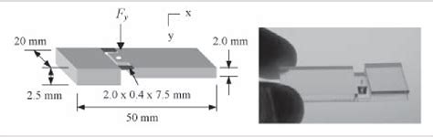 Figure 4 From A Multiscale Fabrication Approach To Microfluidic System Development Semantic
