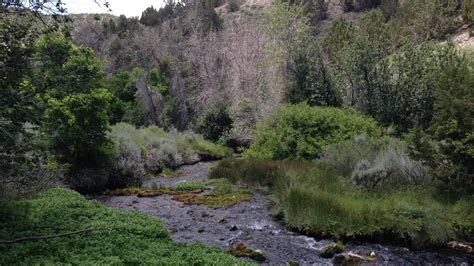 Clover Springs Campground Salt Lake Field Office