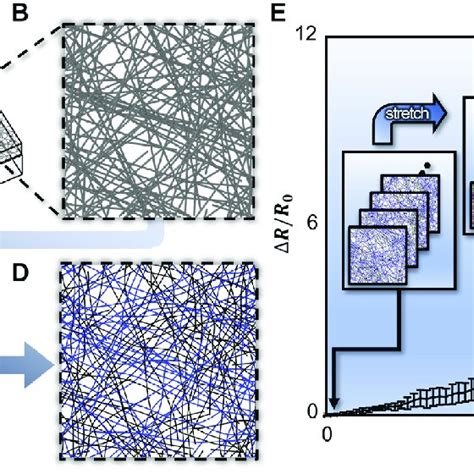 A Simulation Cell For Cnt Network Analysis Under Periodic Boundary