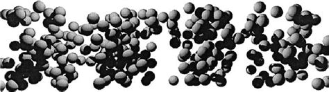 Snapshot Of A Colloid Particle Configuration From Computer Simulation