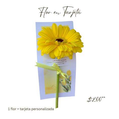 Flor En Tarjeta
