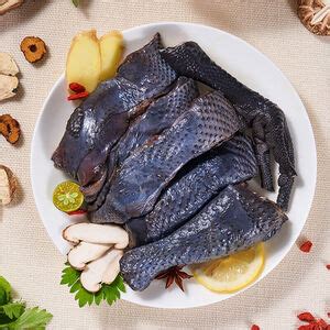 乌鸡的品种都有哪些？十大中国最好的乌鸡品种盘点→maigoo生活榜