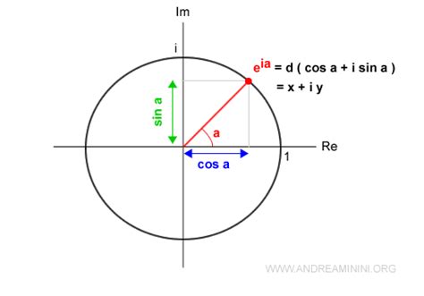 Eulers Formulas Andrea Minini