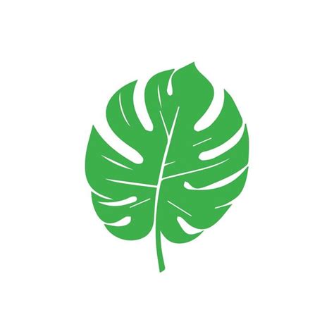 Hawaii Leaf Vector Art Icons And Graphics For Free Download