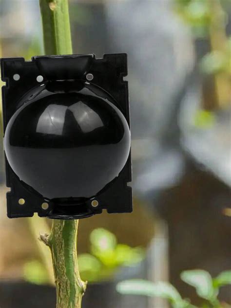 6pcs Plant High Pressure Box Grafting Root Box High Pressure Layered