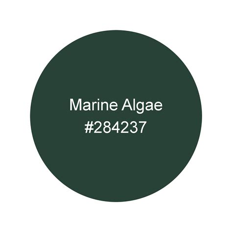 Marine Algae · Theme