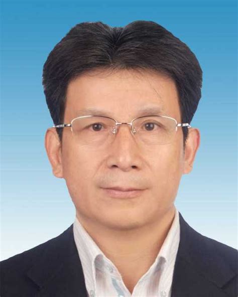 朱伟（河海大学发展规划处处长） 百度百科