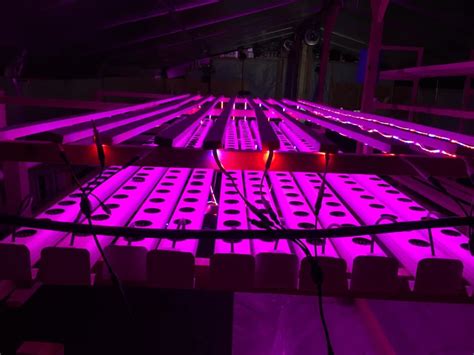 Solara Farms Our Pilot Program Is Growing We Now Have