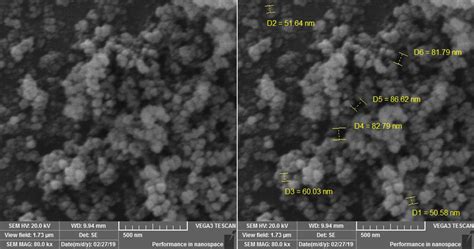 Sem Imagine And Measurement Of Primary Particles Interparticle Spaces