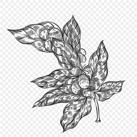How To Draw Leaf Texture
