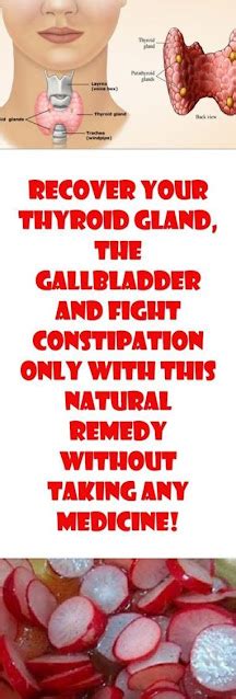 Recover Your Thyroid Gland The Gallbladder And Fight Constipation Only With This Natural Remedy