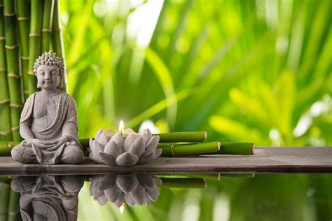 Buddha Zen Garden Wallpapers Top Free Buddha Zen Garden Backgrounds
