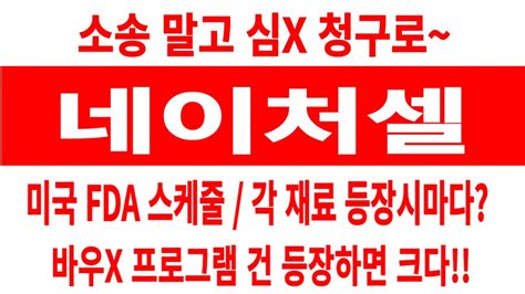 네이처셀 주가소송 말고 심x 청구로~ 미국 Fda 스케줄 각 재료 등장시마다 바우x 프로그램 건 언급되면 크다 네이처셀 네이처셀 주가 네이처셀 전망 네이처셀