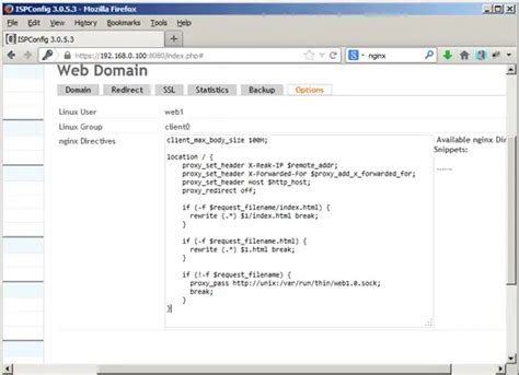 Running Redmine Project Management On Nginx Debian Wheezy
