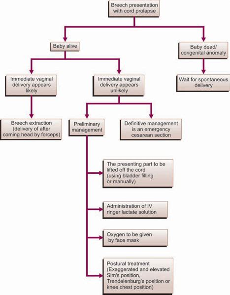Breech Presentation Management